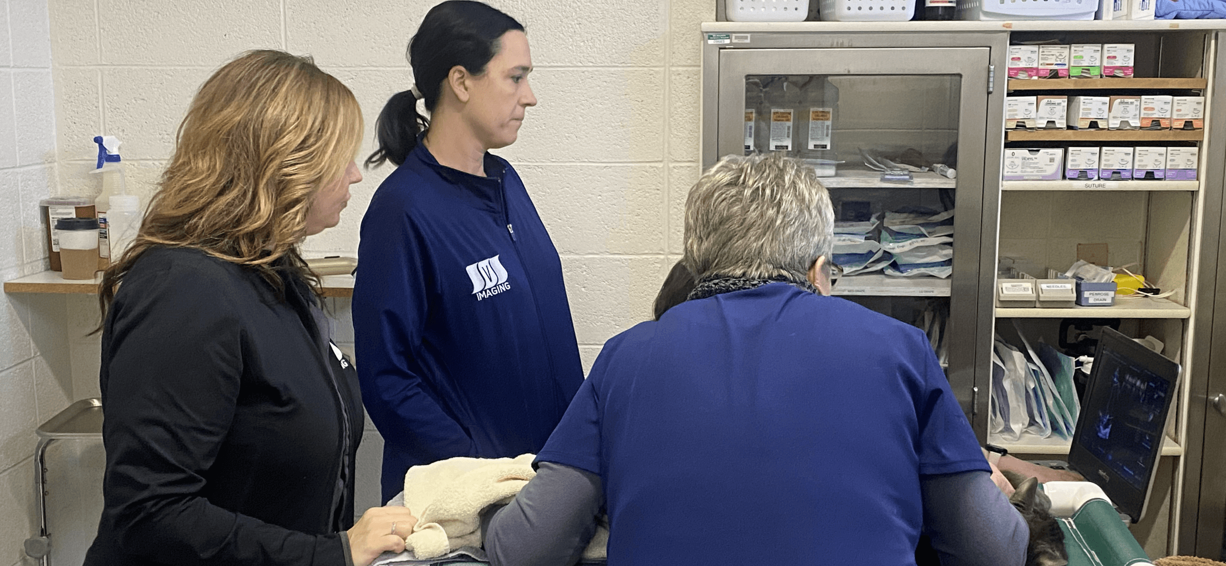 Veterinary Ultrasound Training